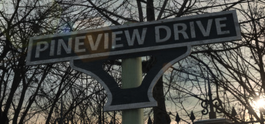 Buy Pineview Drive PC CD Key | Loaded